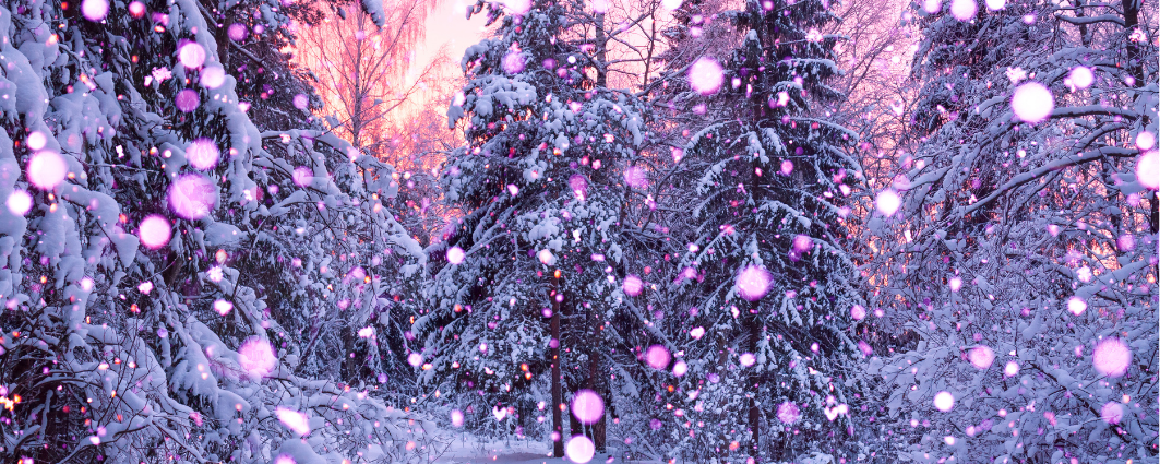 NA Thoth's Archive Winter 2026 – Ajevie