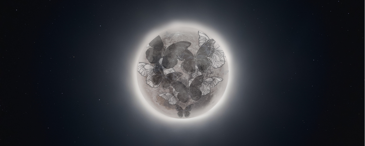 BPAL Black Butterfly Moon 2025 – Ajevie